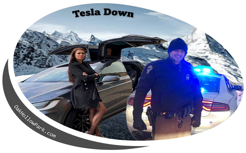 Tesla Down - Oak Hollow Park