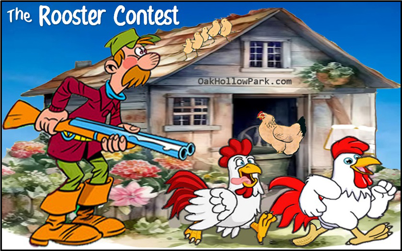 The Rooster Contest - Oak Hollow Park